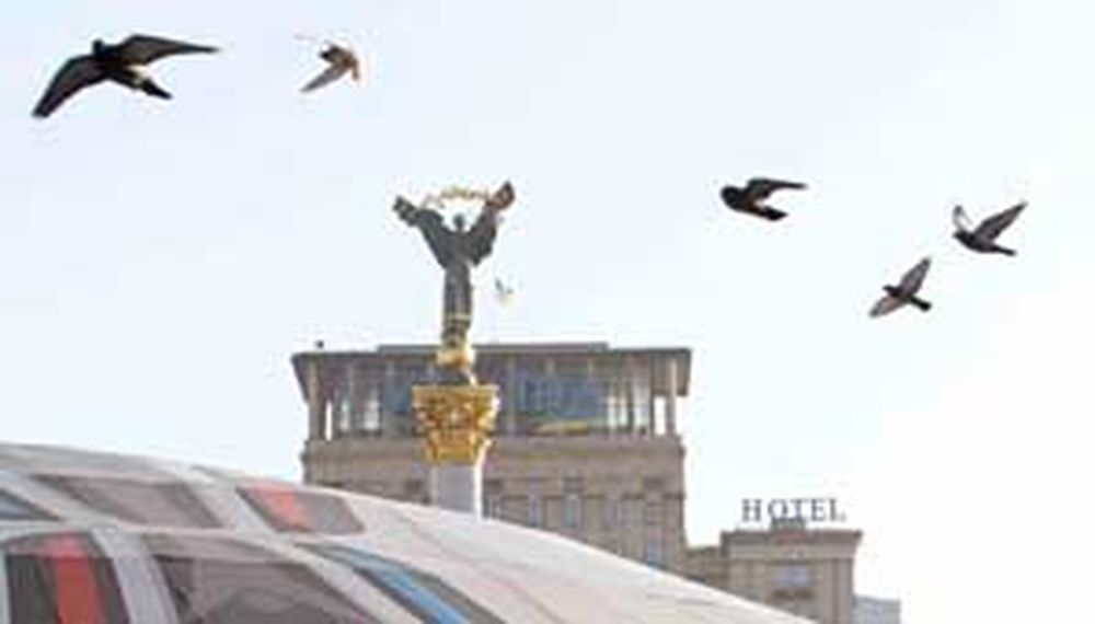 Aves estresadas