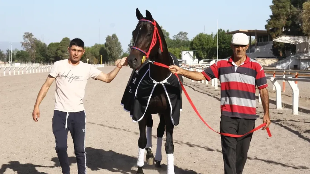 Un caballo que pinta para crack