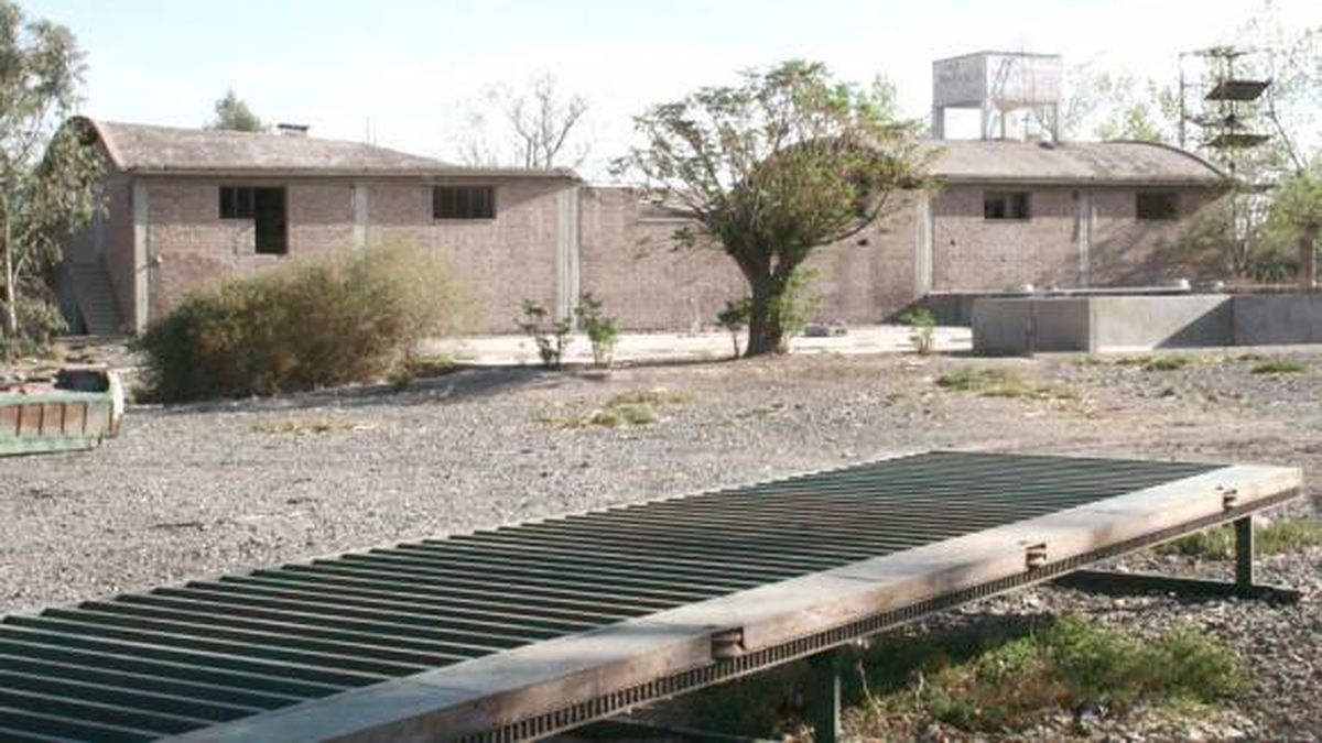 Un mercado de verduras, en la ex bodega Torraga
