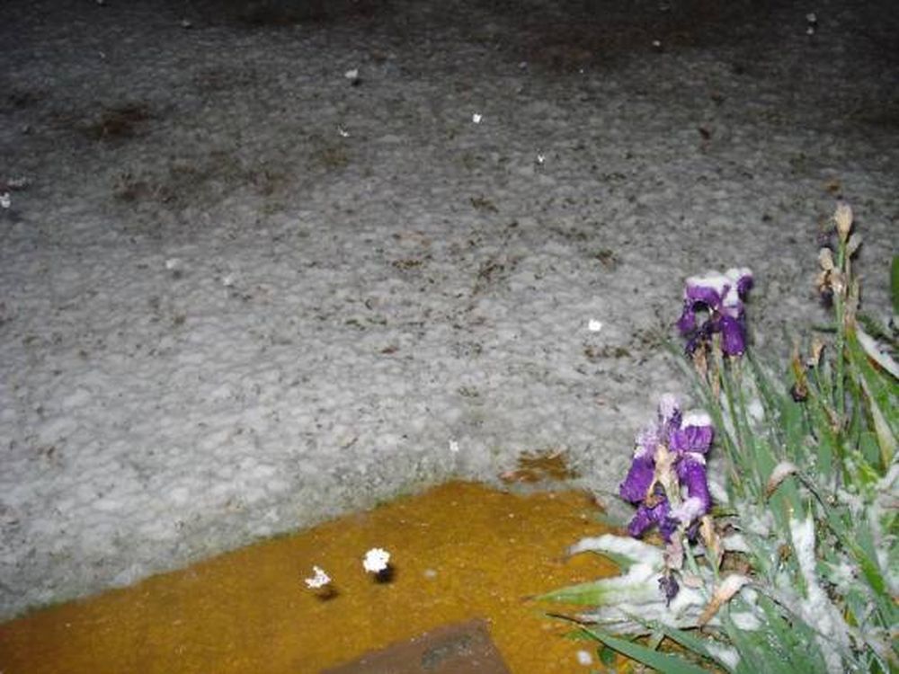 El Zonda no sopló en Barreal pero sí cayó agua nieve