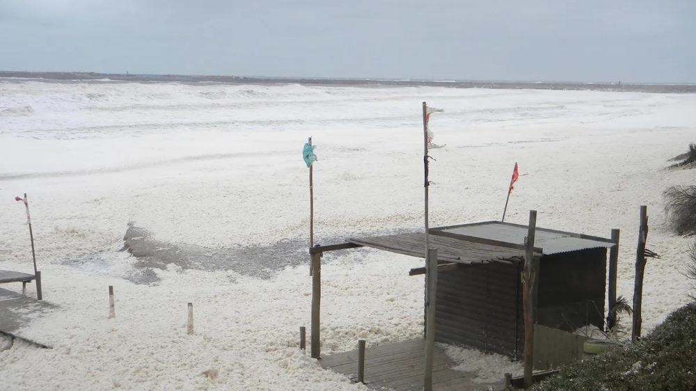 No es El Eternauta: invasión de espuma marina en la costa argentina