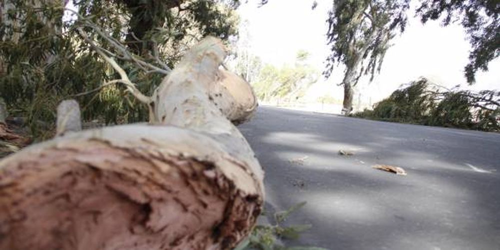 Pocito y Rawson, los más damnificados por el Zonda