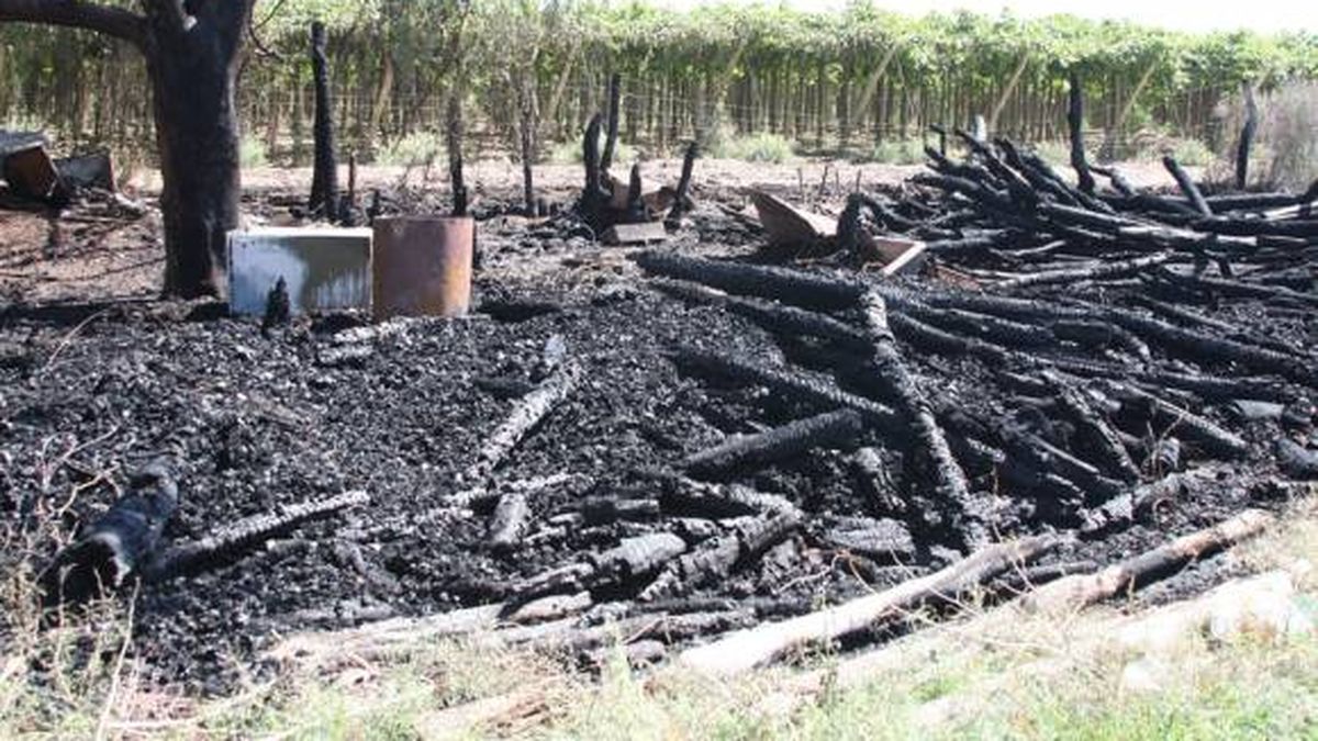 Van a robar un chancho y provocan un incendio