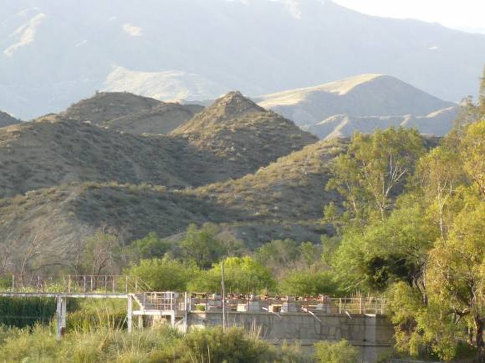 Un Oasis al costado del camino