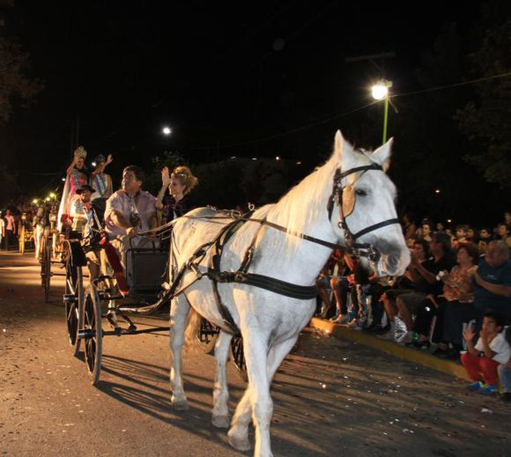 Tradición gaucha, la estrella del carrusel