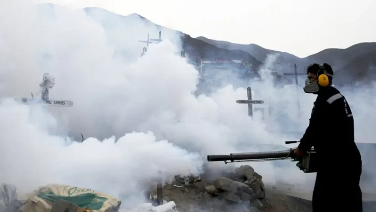 La OMS declaró al virus del Zika como emergencia sanitaria mundial