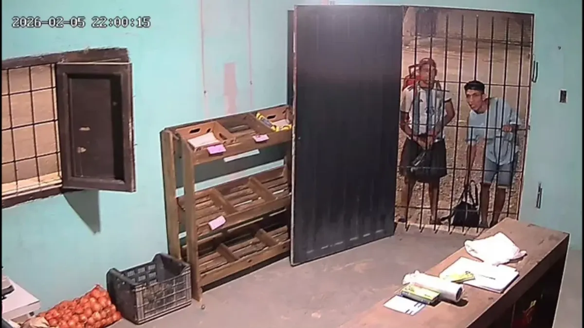 El “ladrón contorsionista”: entró de una forma insólita a un comercio ...