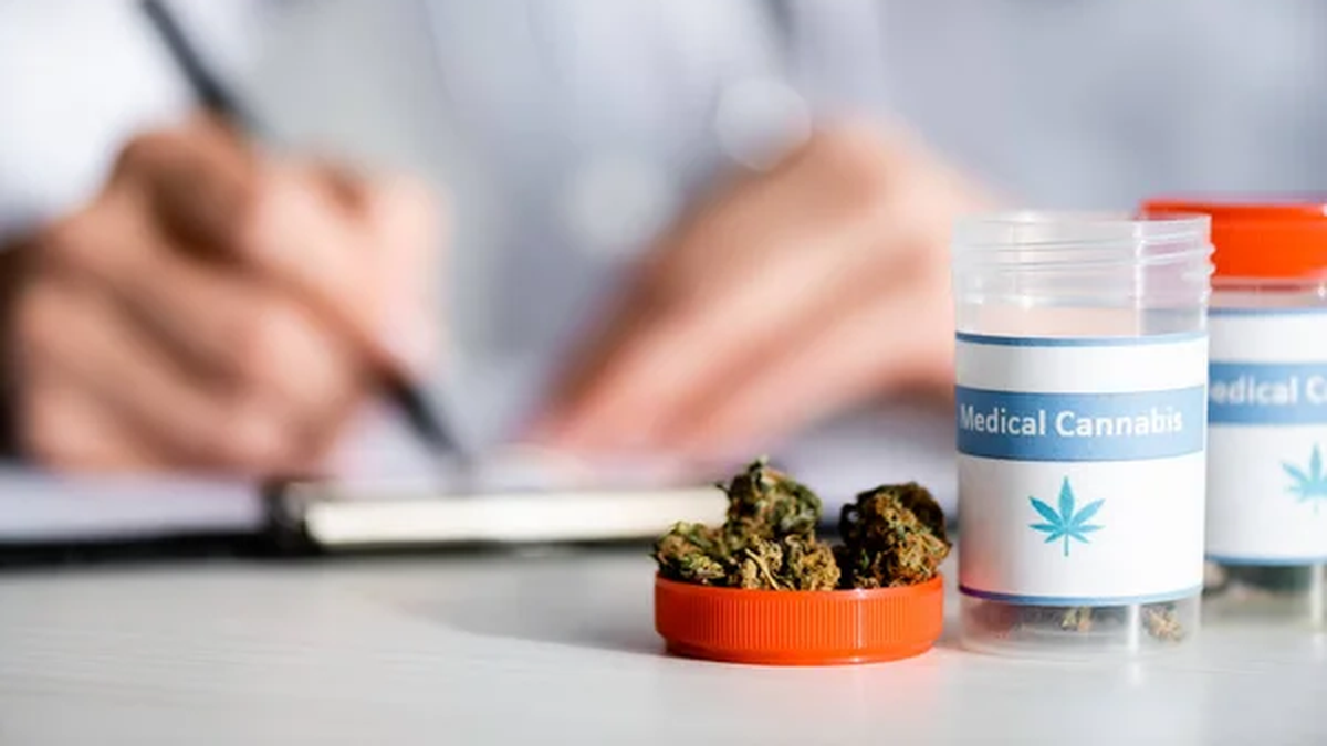 Nuevo Reprocann: el Gobierno modificó los requisitos para el uso y el ...