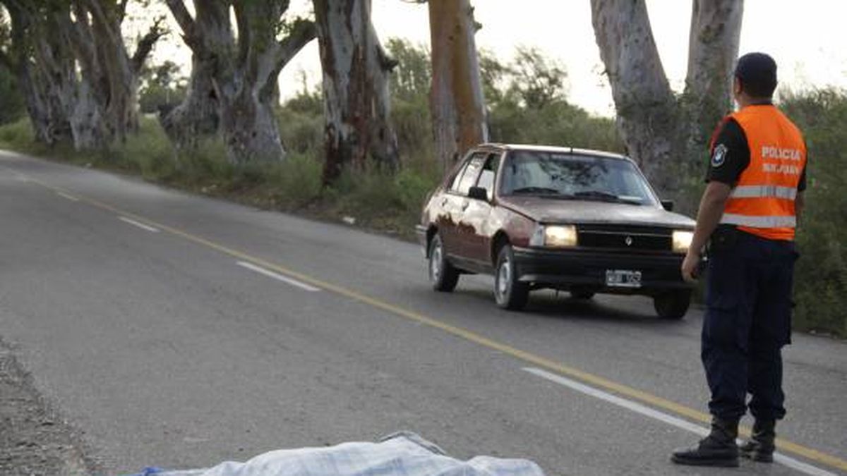 Se durmió en la ruta y lo mató un micro
